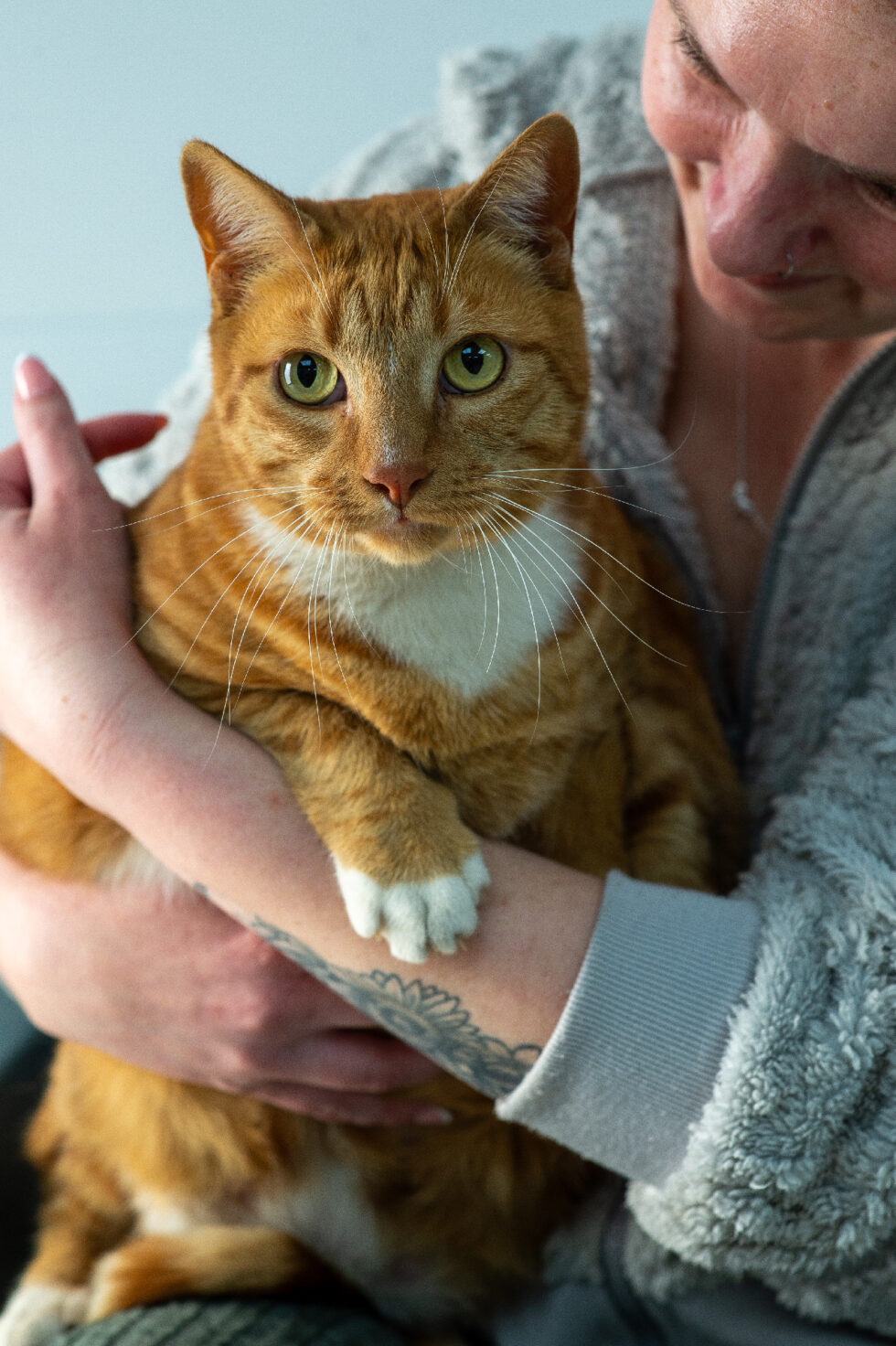 Home - Eldoraigne Animal Clinic | Vet | Centurion